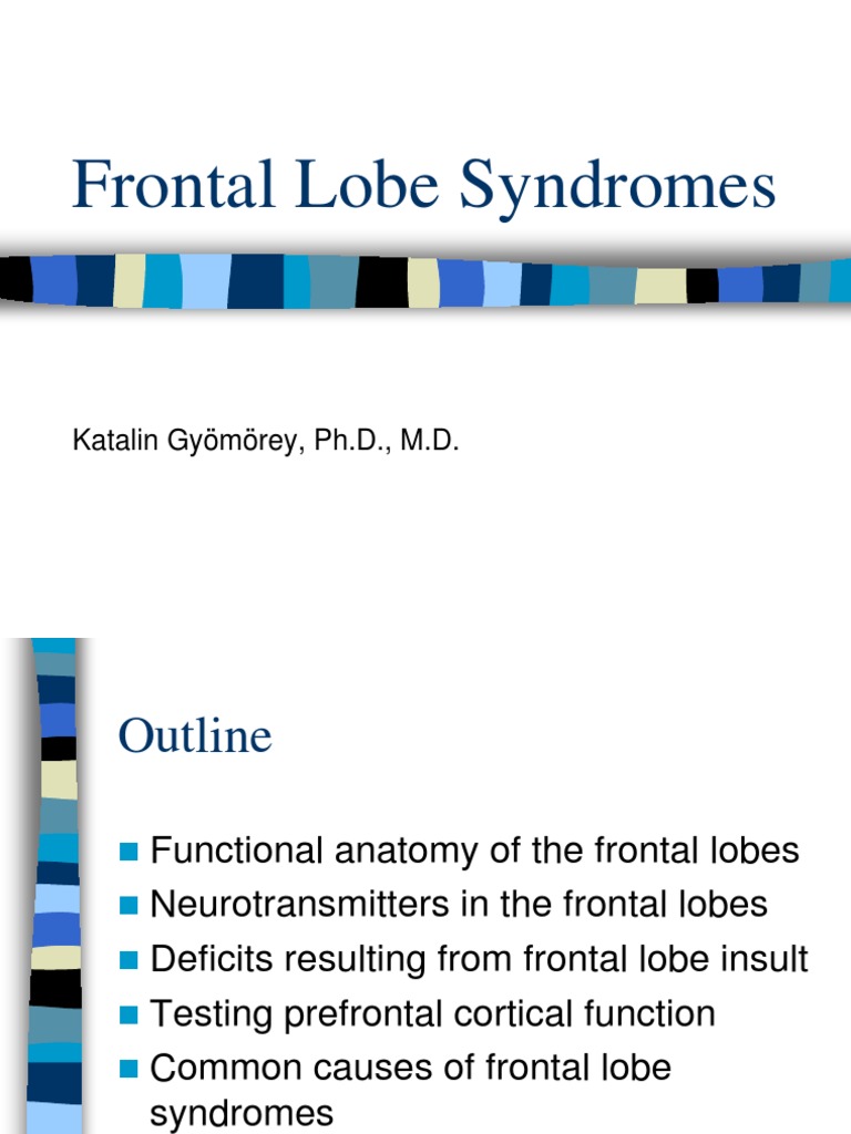 Frontal Lobe Syndromes Final 22 | PDF