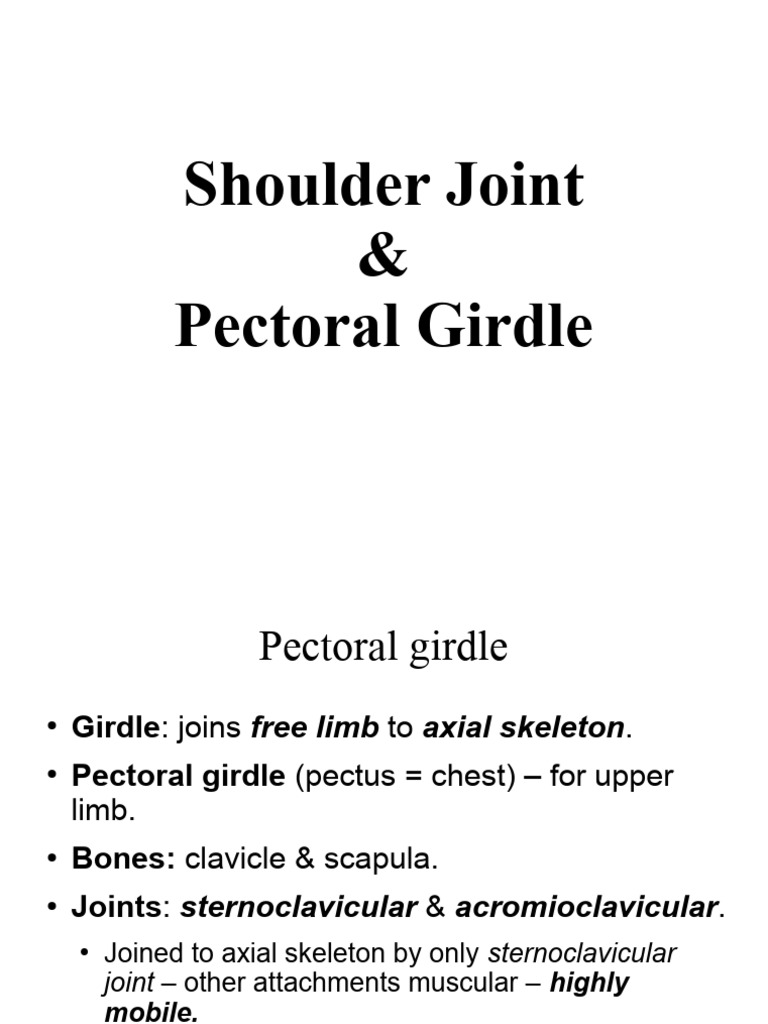 Shoulder Joint | PDF | Limbs (Anatomy) | Joints