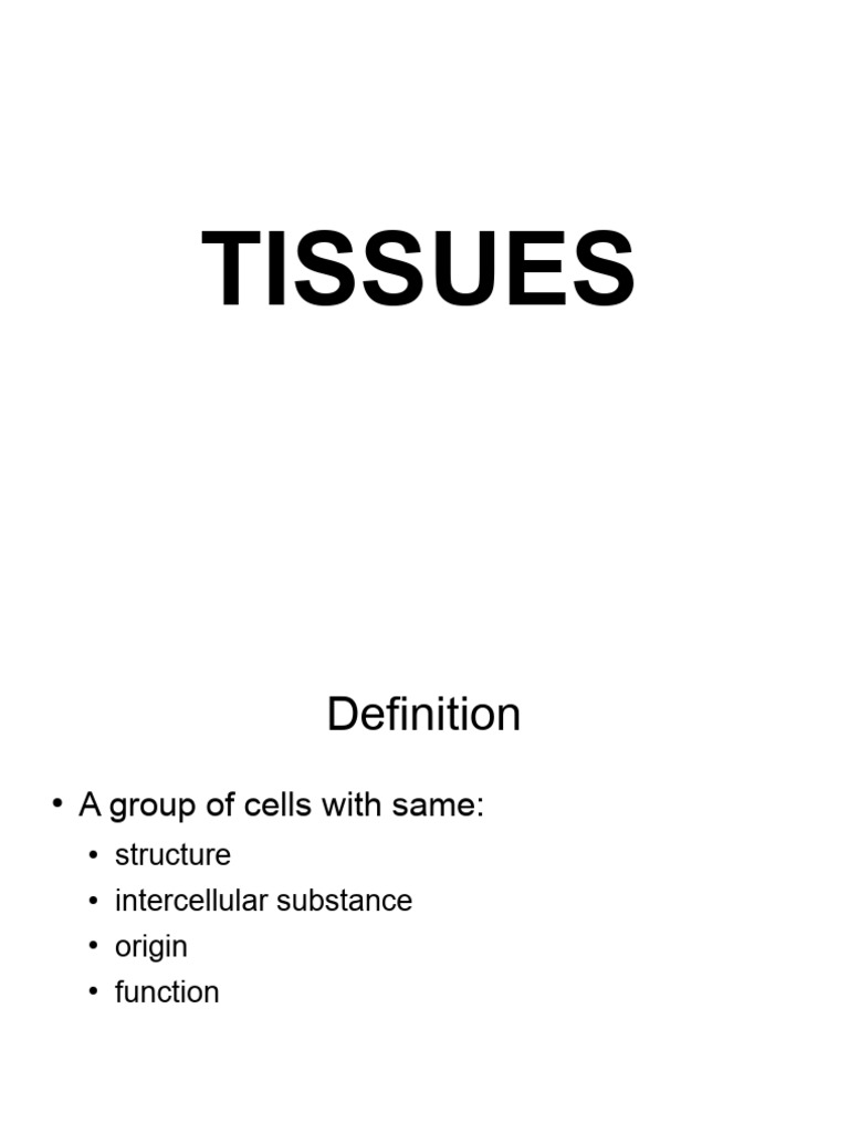 Tissues | PDF | Epithelium | Anatomy
