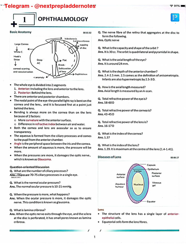 Opthal RR | PDF | Home & Garden