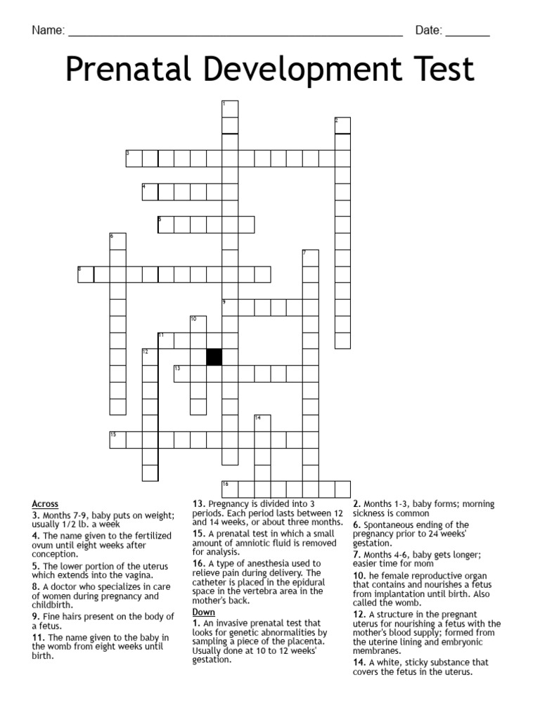 Prenatal Development Crossword Puzzle | PDF | Uterus | Prenatal Development