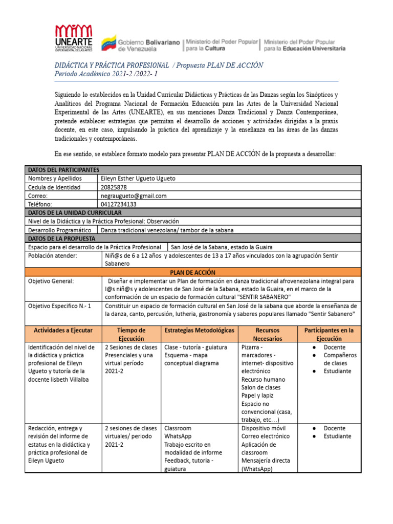 Formato - Plan de Acción Practica Profesional | PDF | Enseñando | Plan de estudios