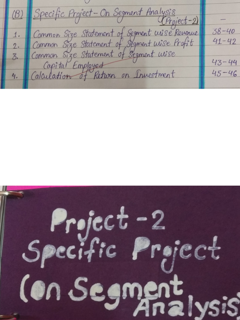 Specific Project On Segment Analysis | PDF