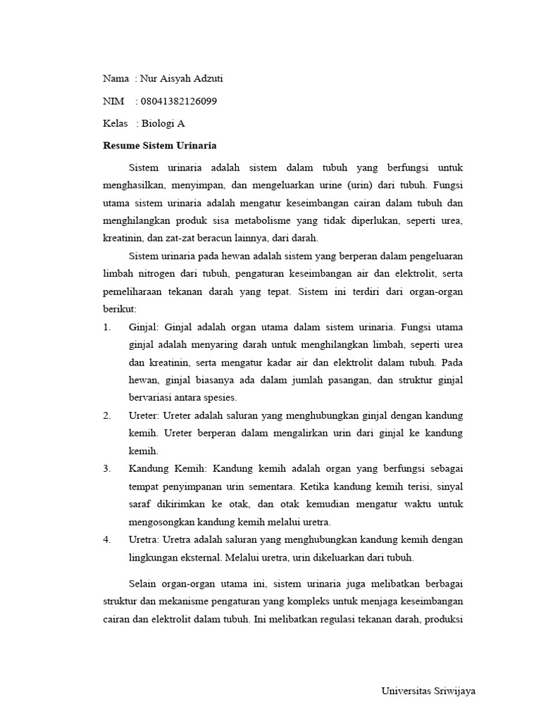 Sistem Urinaria Fiswan | PDF