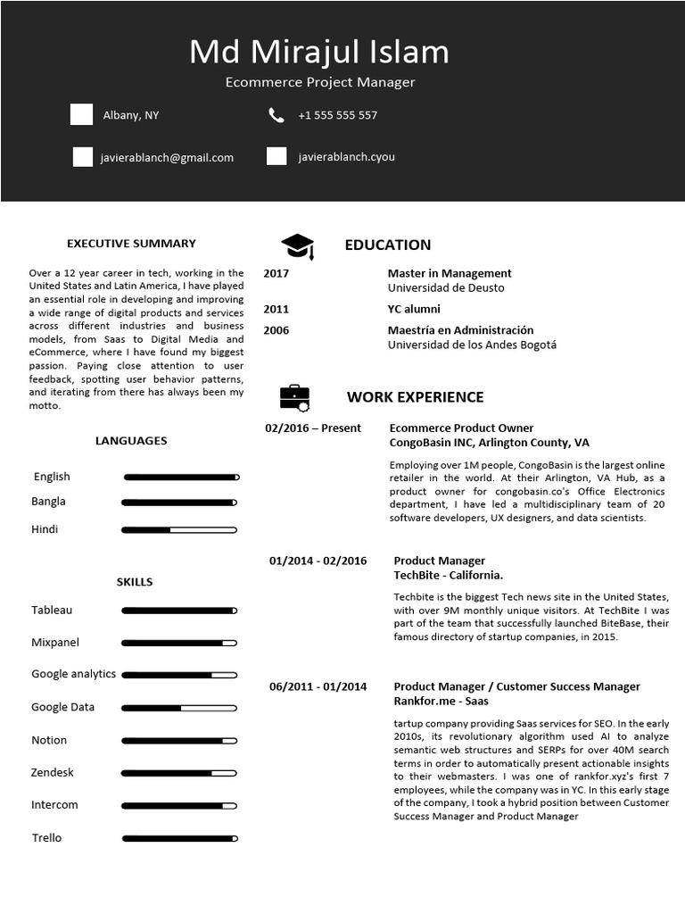Free CV Template 25 | PDF | Computing | Cyberspace