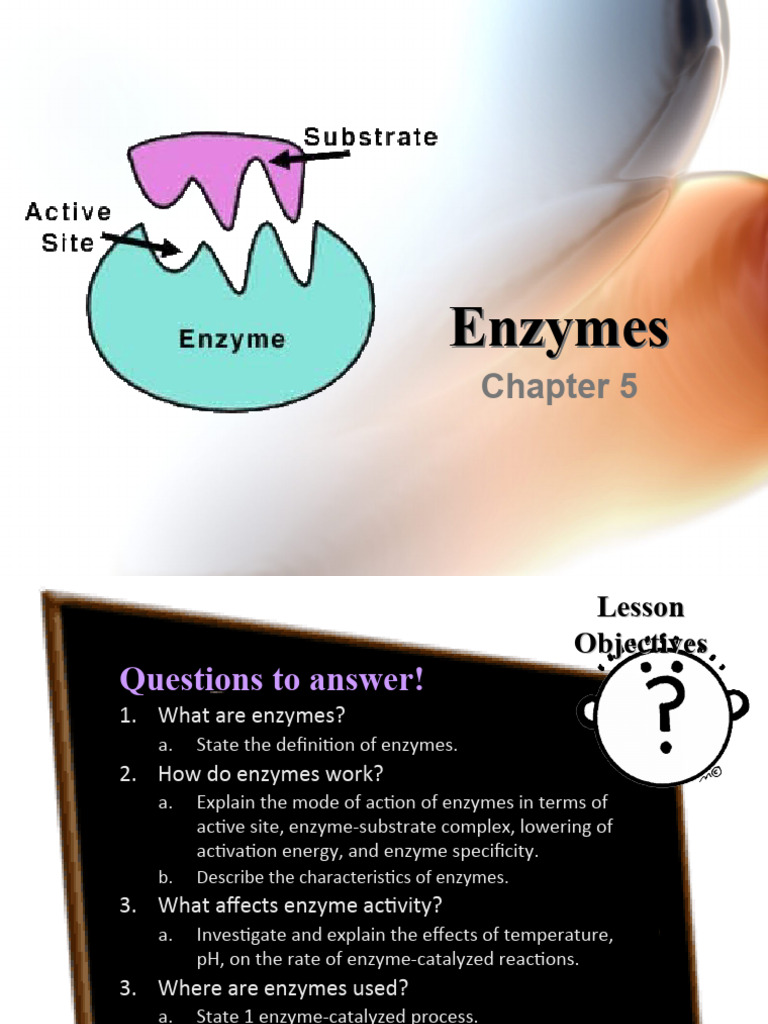 Pure Biology CHP 5 Enzymes 1 | PDF | Enzyme | Active Site