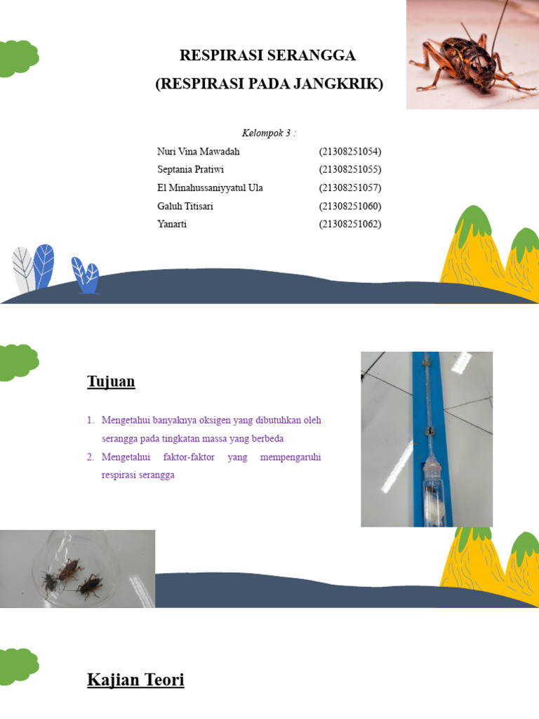 Respirasi Serangga | PDF | Kesehatan Holistik | Sains & Matematika