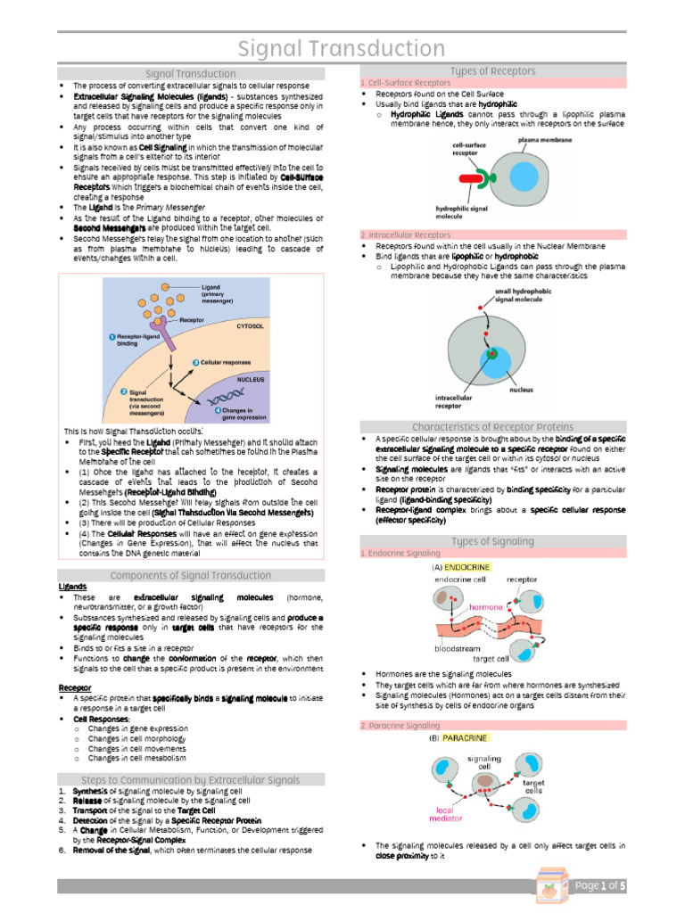 6.1 Signal Transduction | PDF | Cell Signaling | Signal Transduction