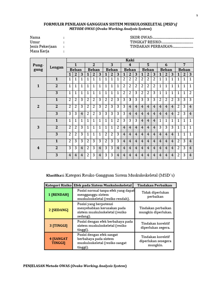 Form Pengukuran OWAS | PDF