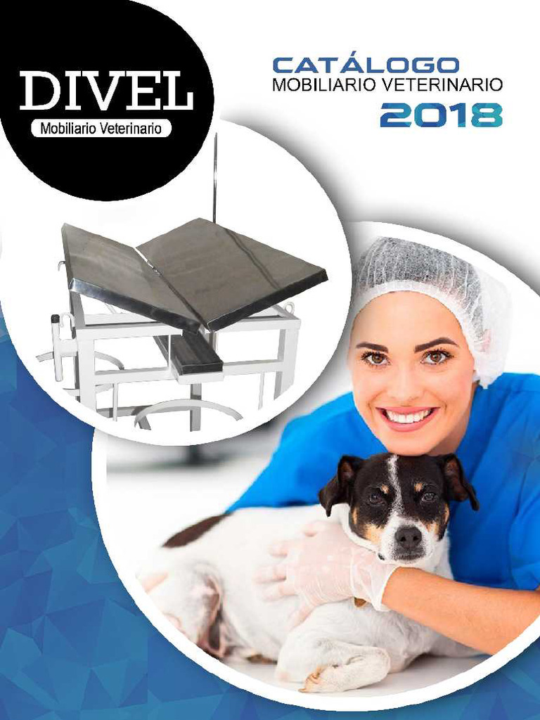 Catalogo Divel 2018 | PDF