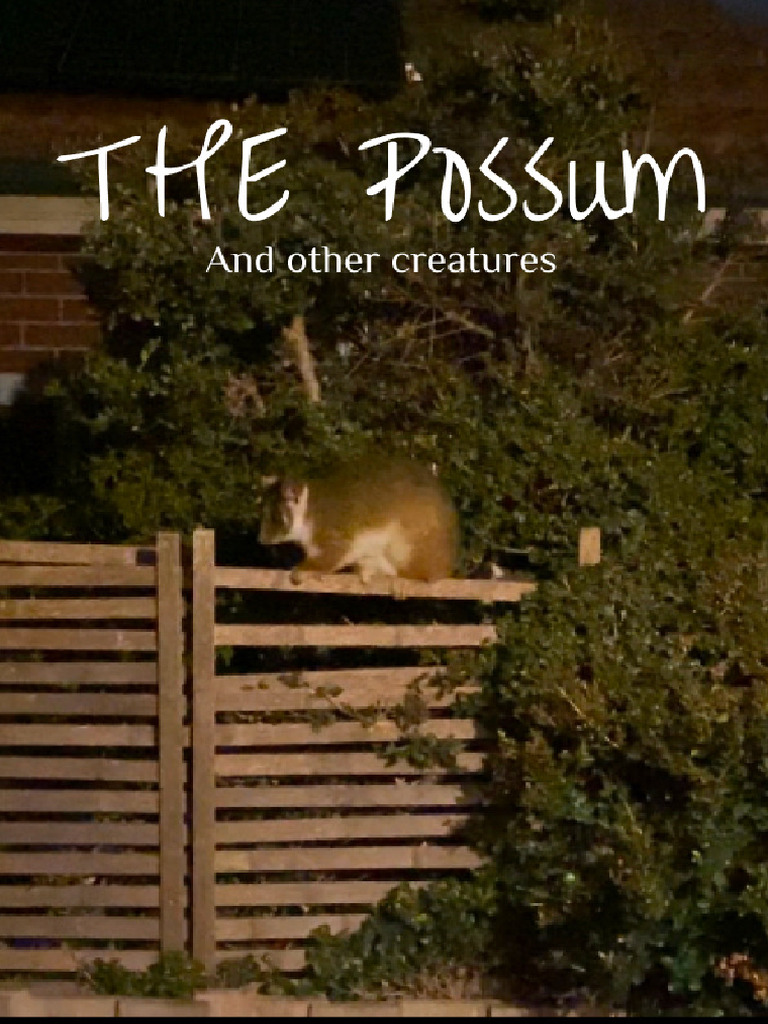 Media Poster Example | PDF