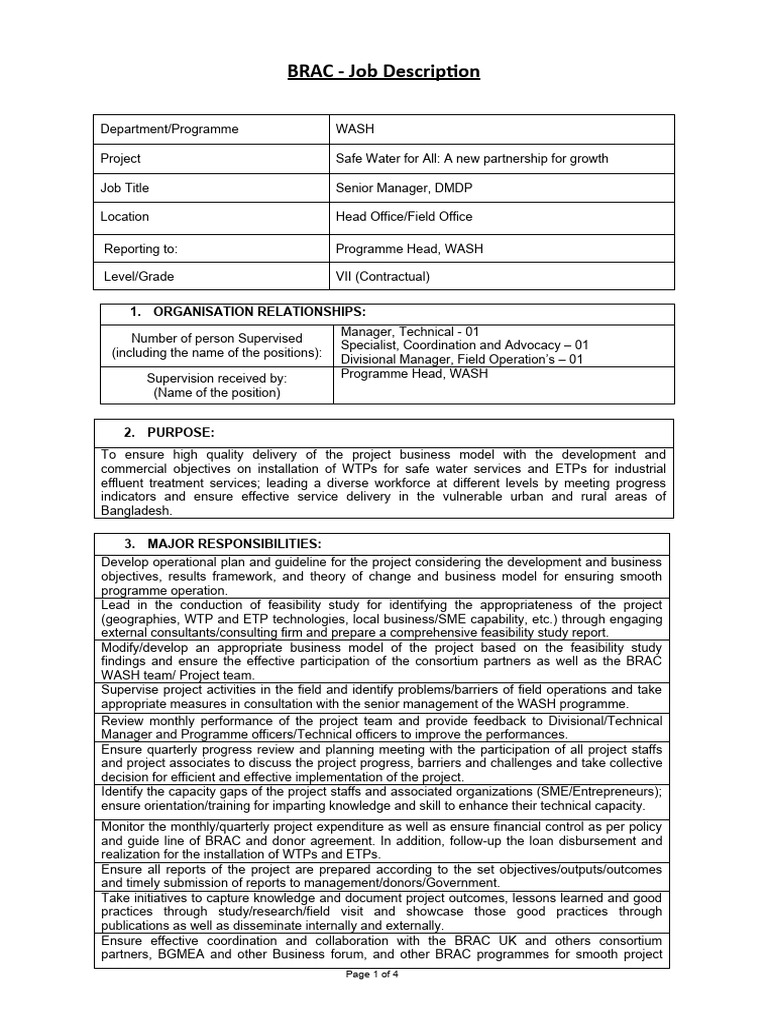 JD - Senior Manager, DMDP - Final | PDF | Urban Planning | Feasibility ...