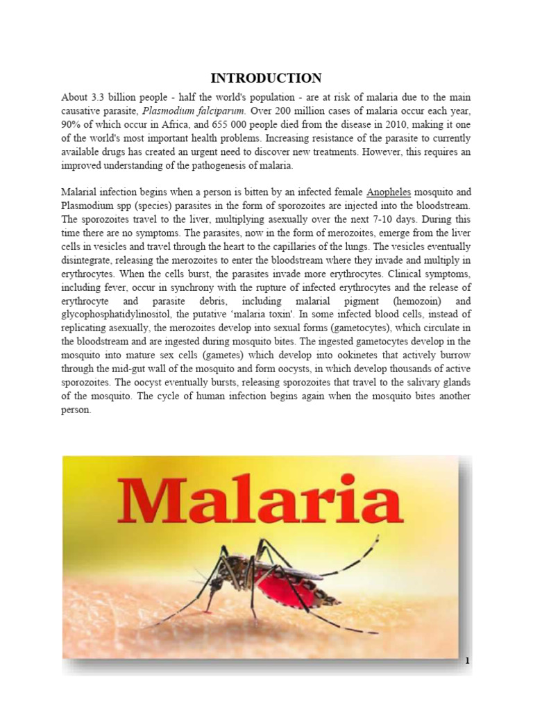 A Case Study On Malaria | PDF | Malaria | Plasmodium
