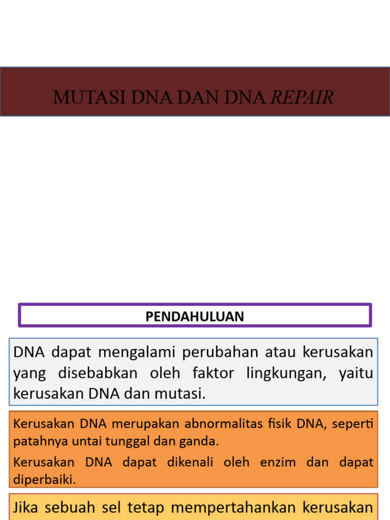 Mutasi Dan DNA Repair | PDF