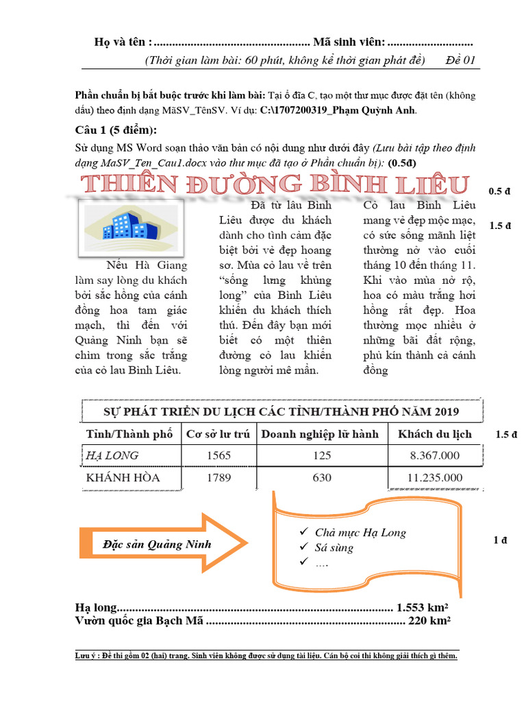 Word - Excel - de 01 | PDF