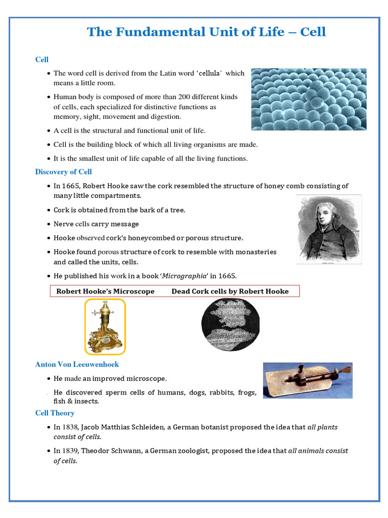 Fundamental Unit of Life | PDF | Cell (Biology) | Endoplasmic Reticulum