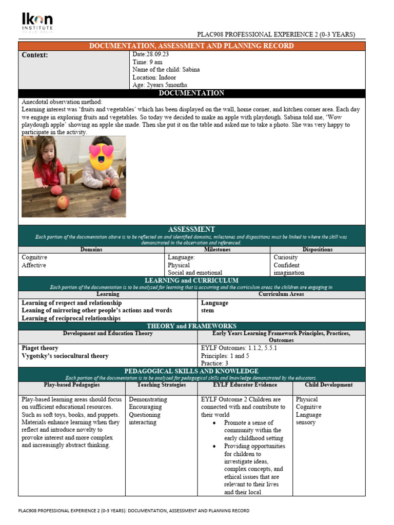 Plac908 Dap Record 2023 Individual 3 | PDF | Pedagogy | Learning