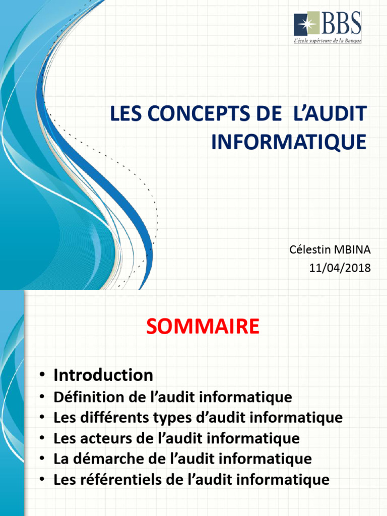 Audit Informaitique | PDF | Informatique | Informatique
