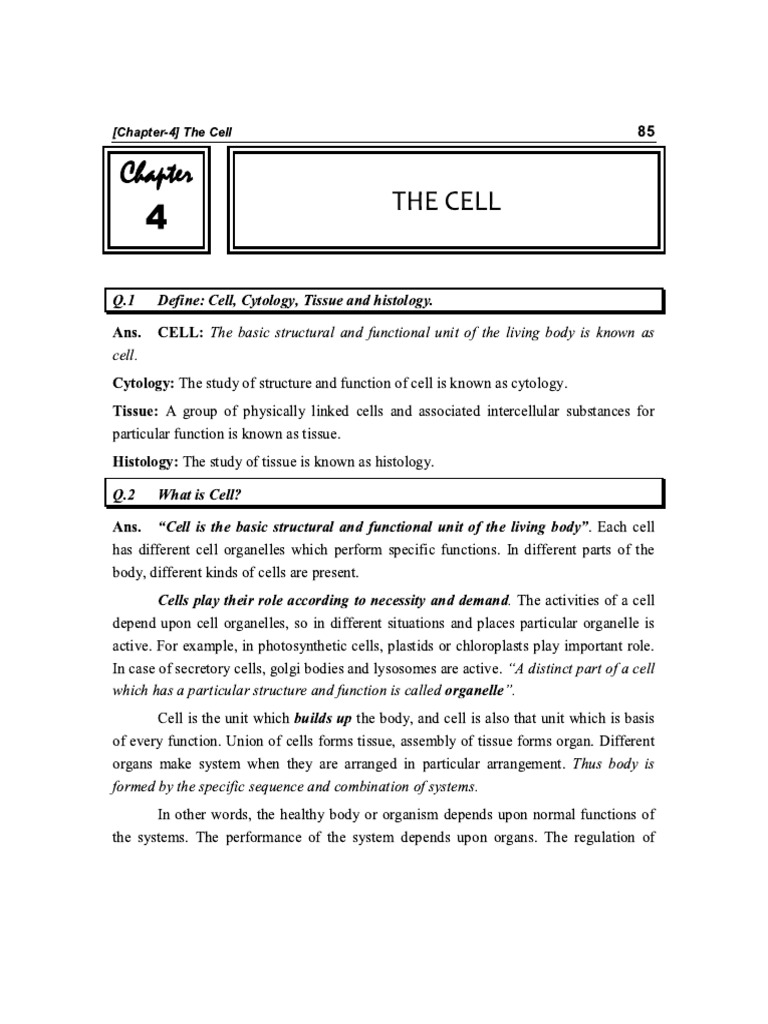 11th Biology Notes Chapter 4 | PDF