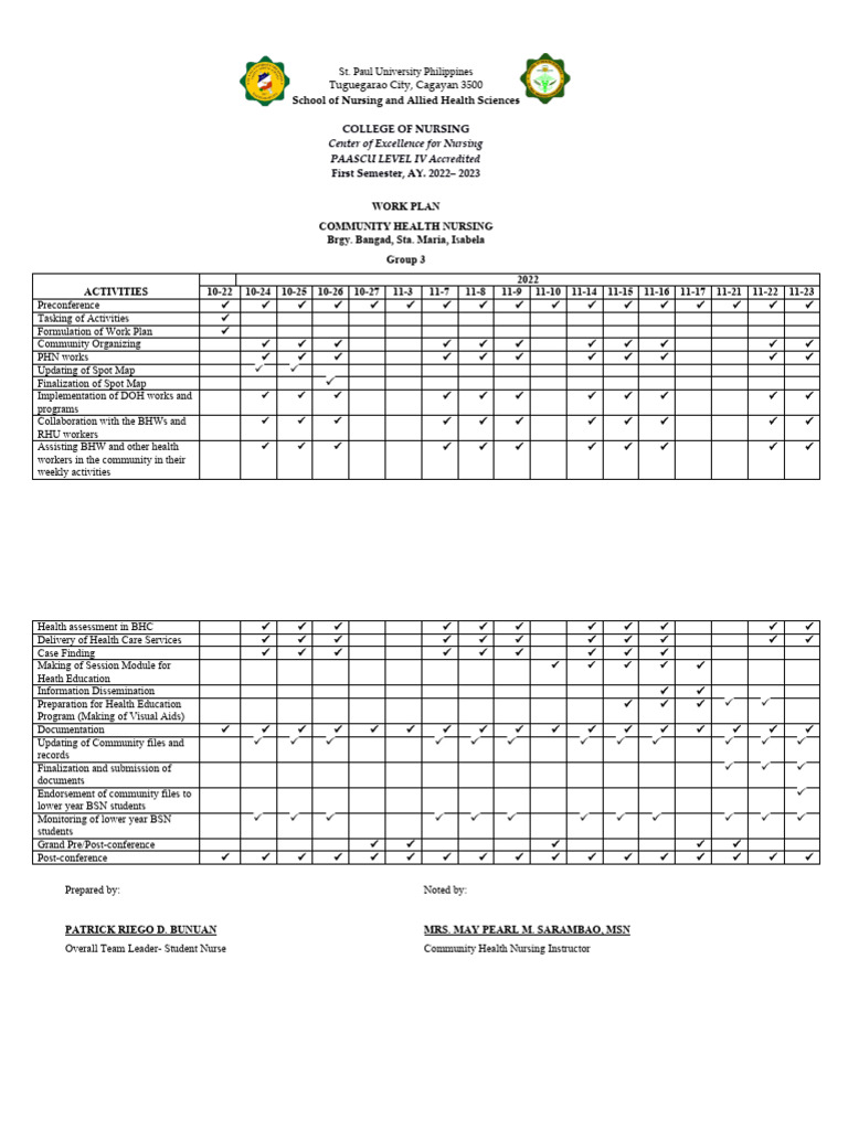 Work Plan | PDF | Nursing | Health Sciences