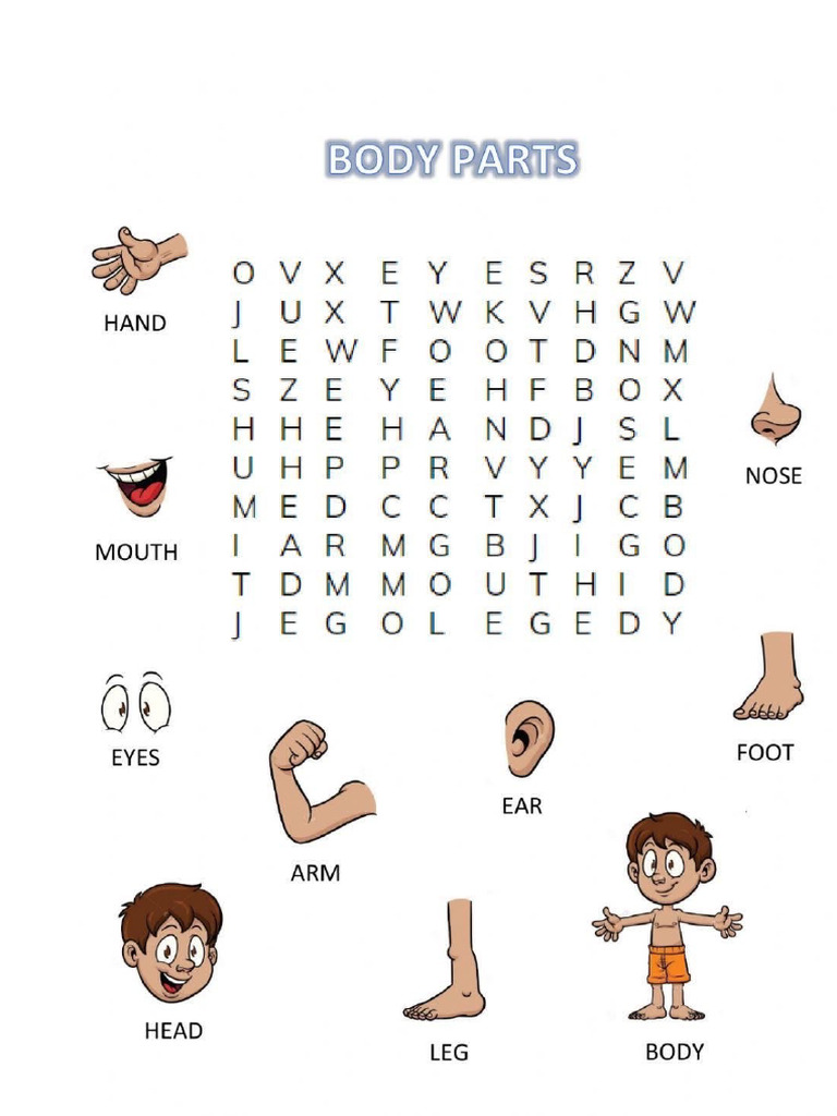 Body Parts | PDF
