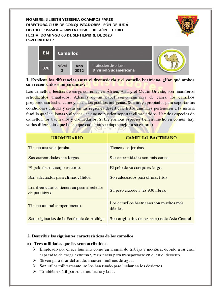 Camellos: Características y Utilidades | PDF | Camello