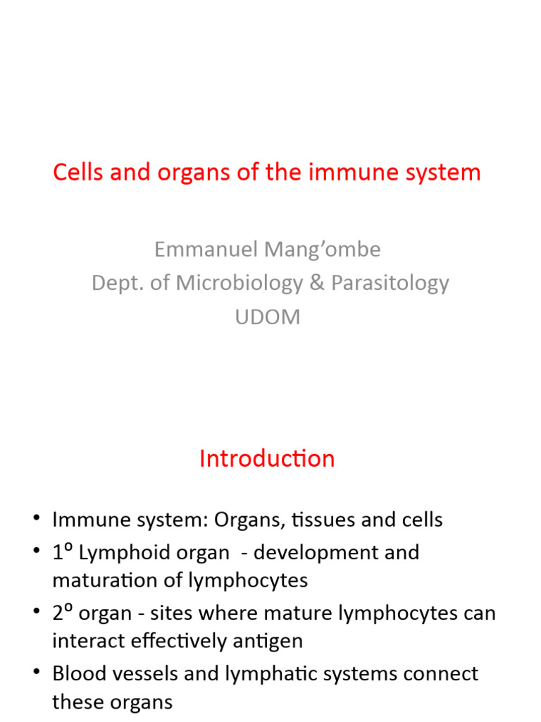 Immune System Cells and Organs Overview | PDF | Lymphocyte | T Cell