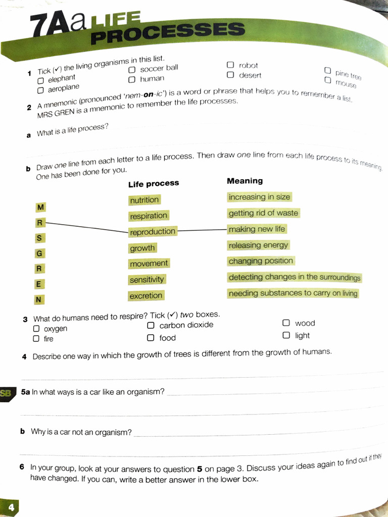Exploring Science 7aa - Life Processes | PDF | Nature