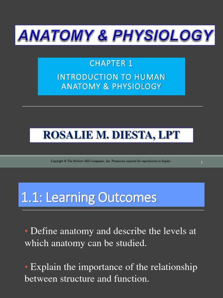 Anaphy Lec | PDF | Anatomical Terms Of Location | Homeostasis