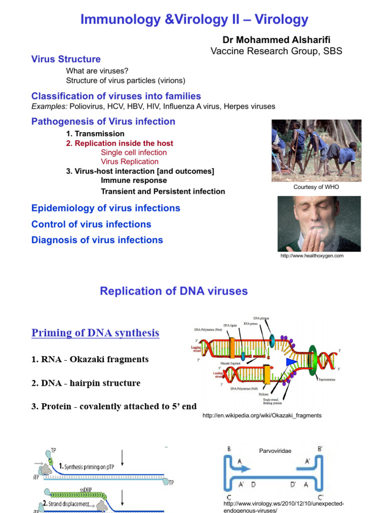 I&V II Virology Lecture 4 of 9 | PDF | Virus | Hepatitis B