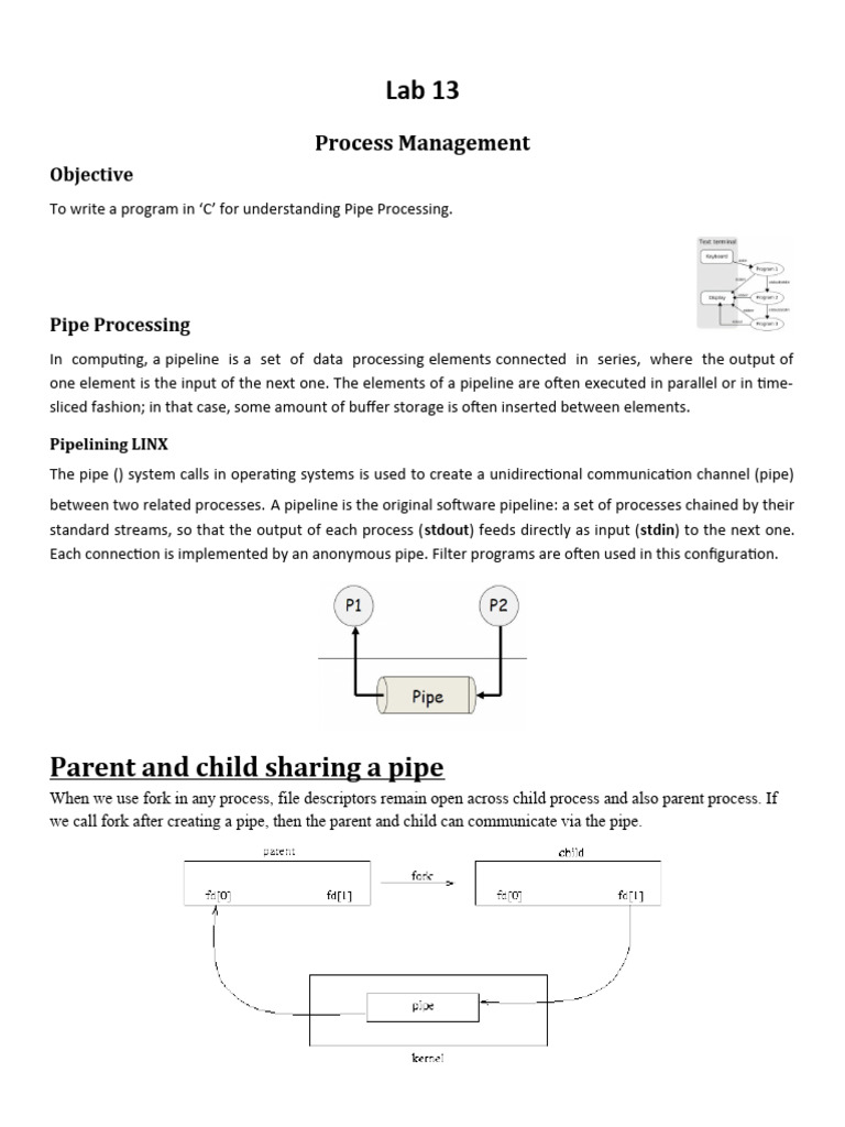 Bushramemon - 2075 - 4326 - 1 - Lab 13 | PDF | Process (Computing) | Computer Programming