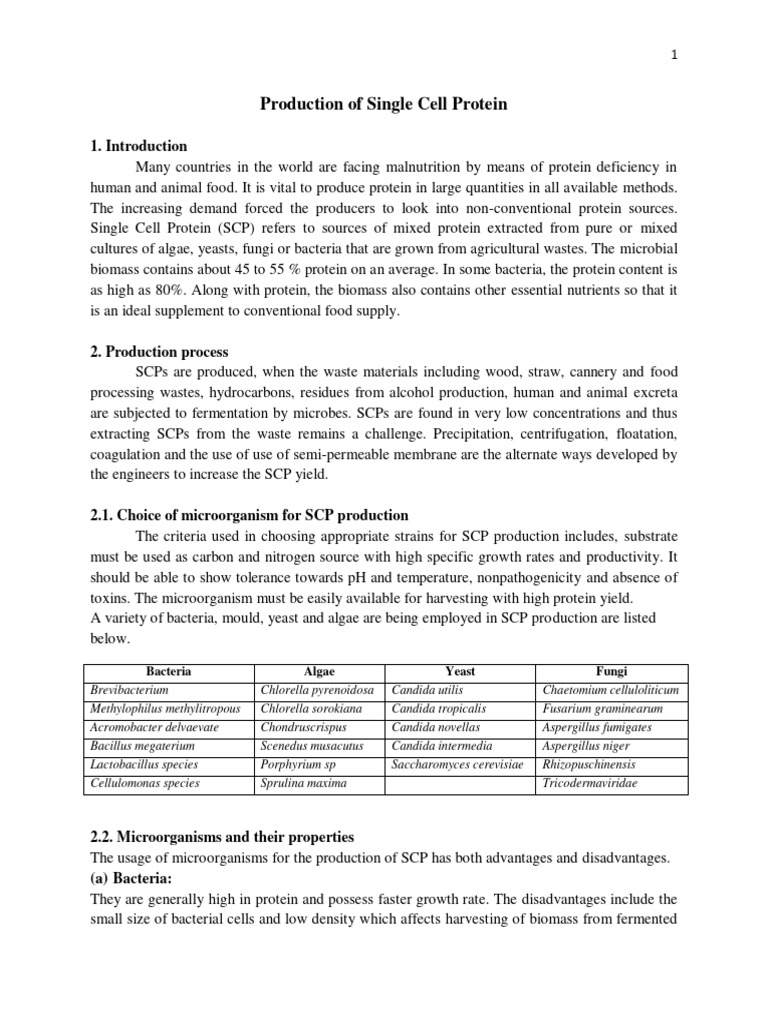 Single Cell Protein Production Guide | PDF | Fermentation | Yeast