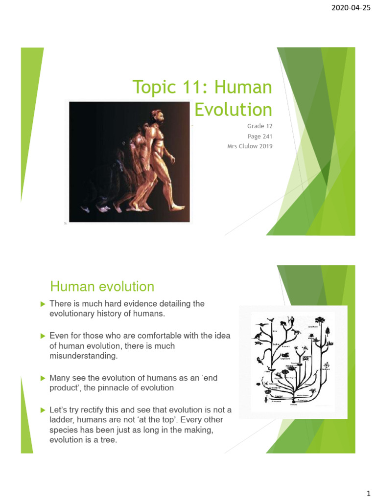 Human Evolution CL 2019 | PDF | Homo | Human Evolution