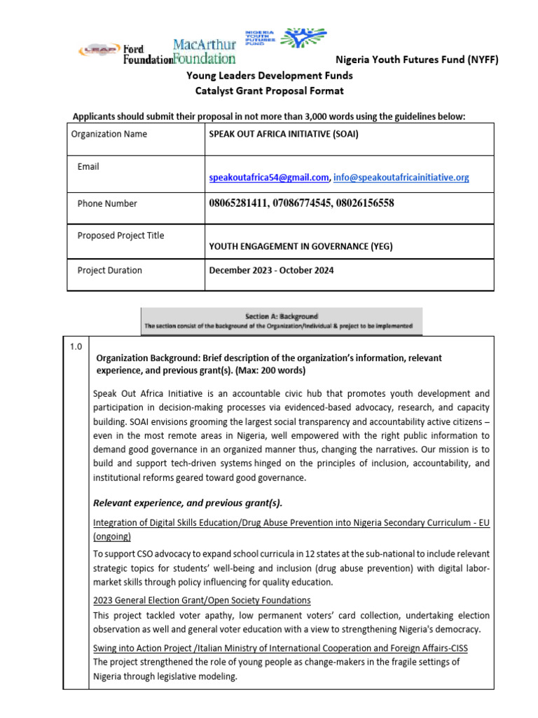 SOAI NYFF-YLDF 2023 - 2024 Proposal Template (Catalyst Grantee Cat ...