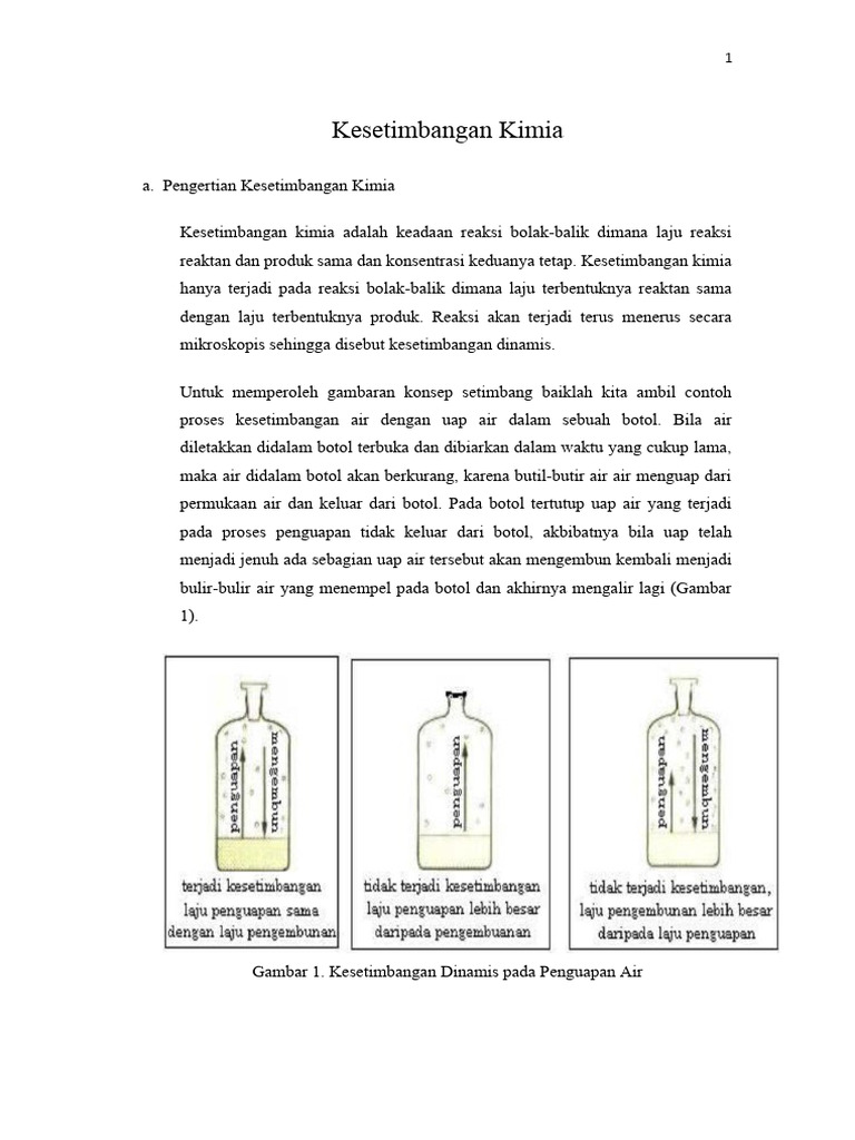 Kesetimbangan Kimia | PDF