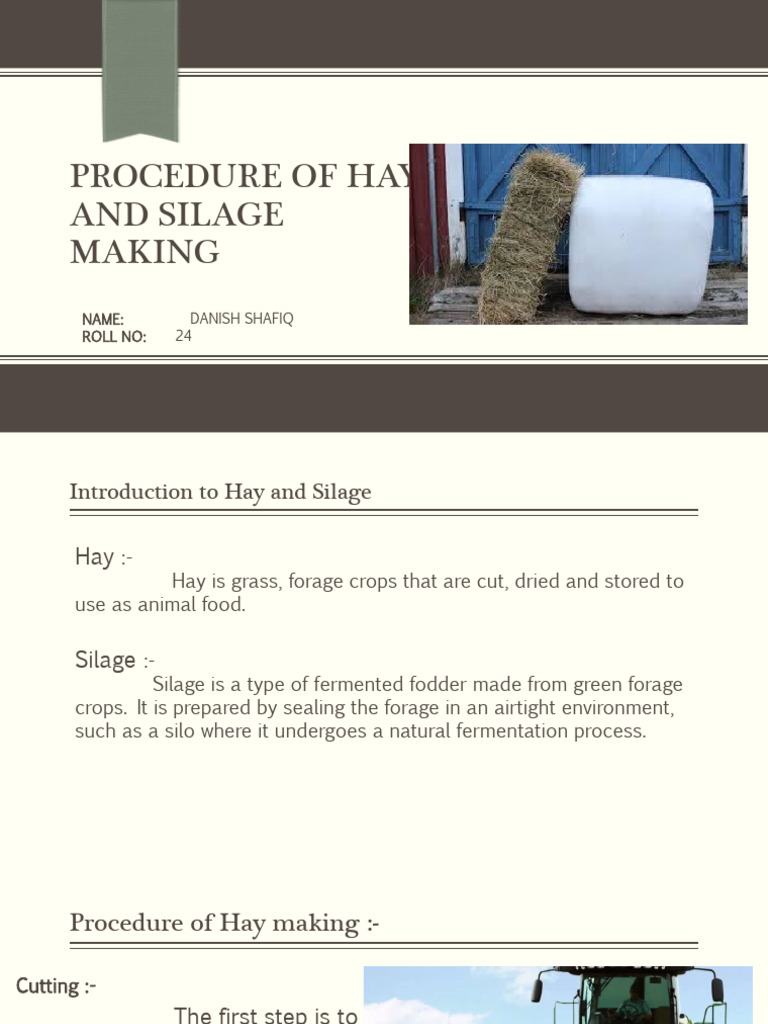Procedure of Hay and Silage Making | Download Free PDF | Hay | Crops