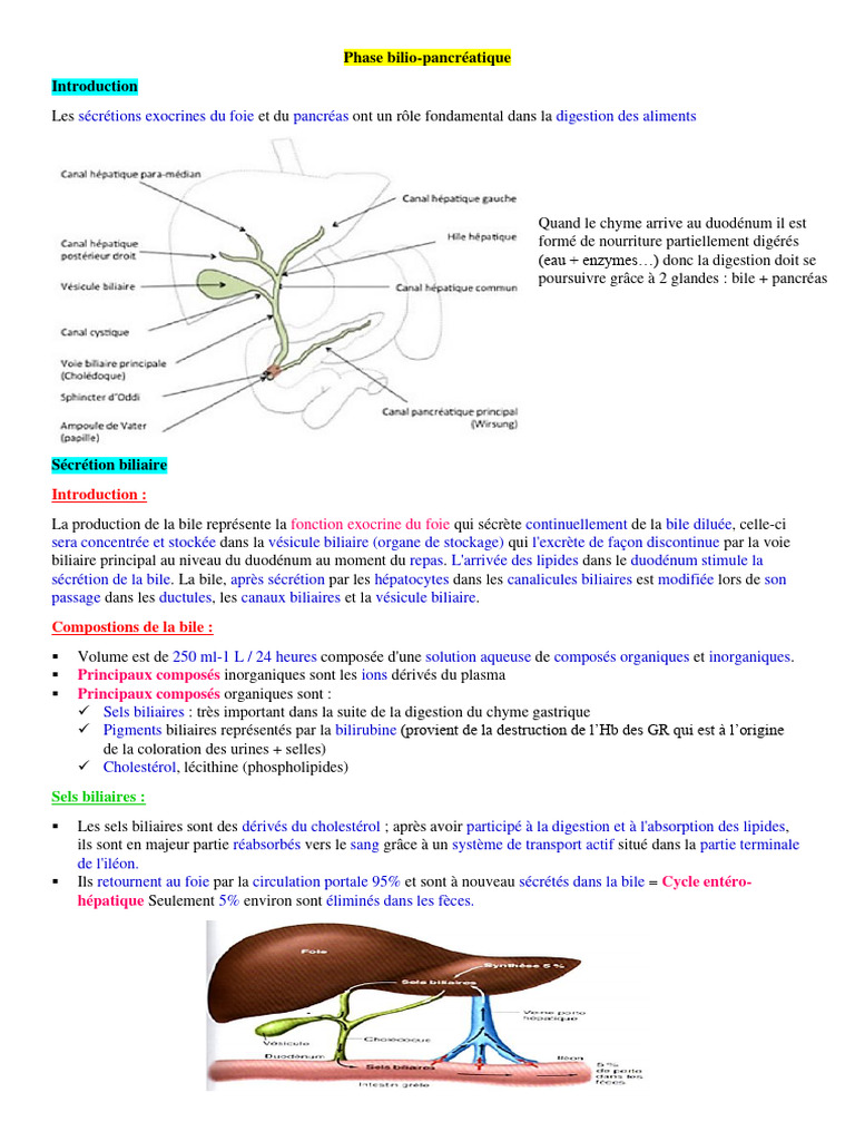 Rôle de la phase bilio-pancréatique | PDF | Bile | Pancréas