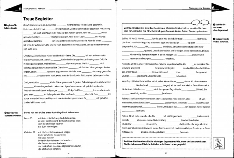 Perfekt - Treue Begleiter | PDF