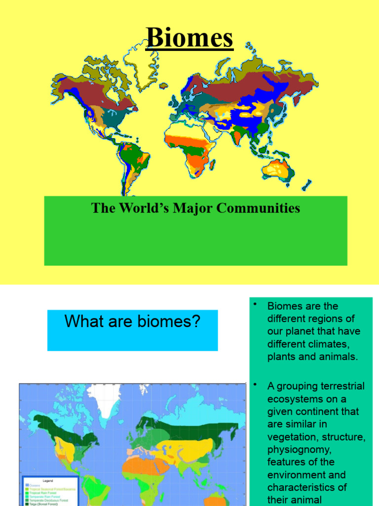 Biomes | PDF | Forests | Ecosystem