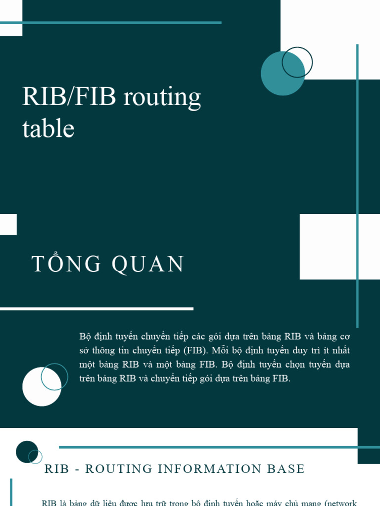 2 RIB FIB Static Route | PDF