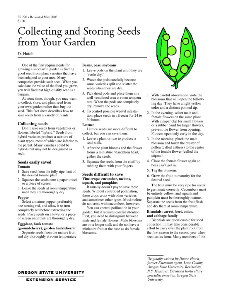 Collecting and Storing Seeds | PDF | Seed | Flowers
