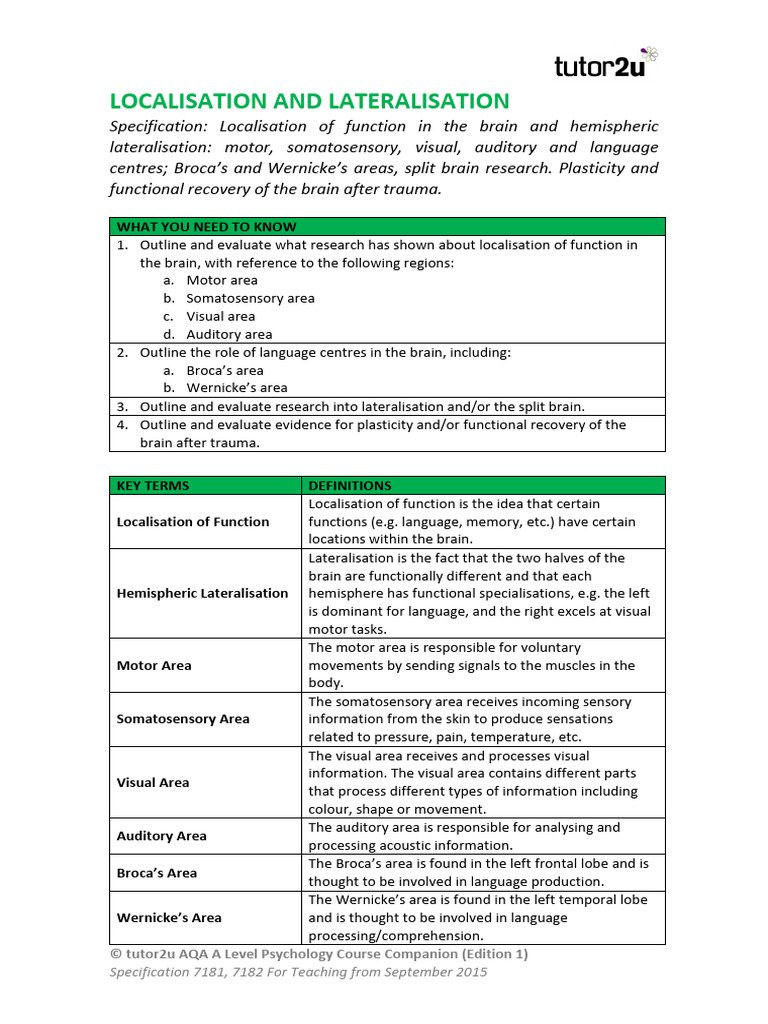 Localisation and Lateralisation in Psychology | PDF | Lateralization Of Brain Function ...