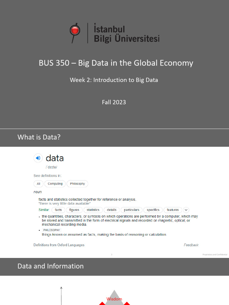 BUS 350 - BigData - Week2 | PDF | Big Data | Data