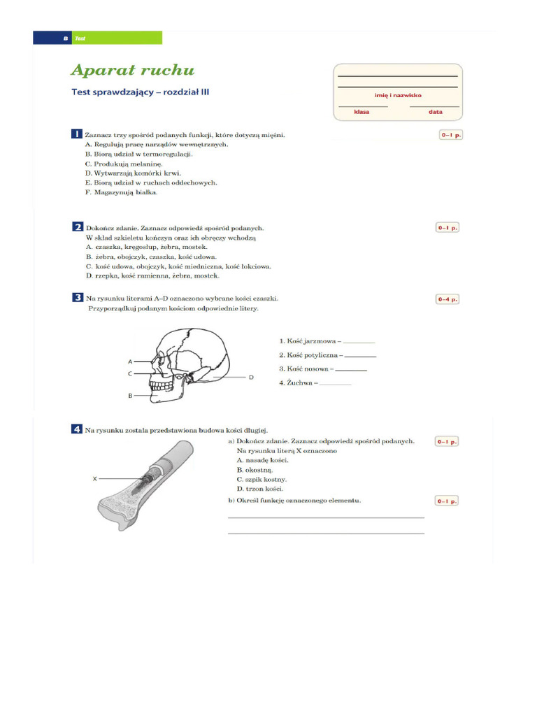 Biologia Klasa 7 Aparat Ruchu Sprawdzian