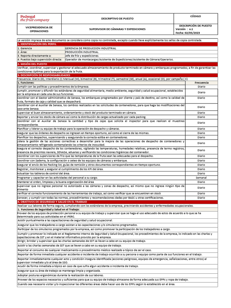 DDP - Supervisor de Cámara y Expediciones | PDF | Seguridad y salud ocupacional | Business