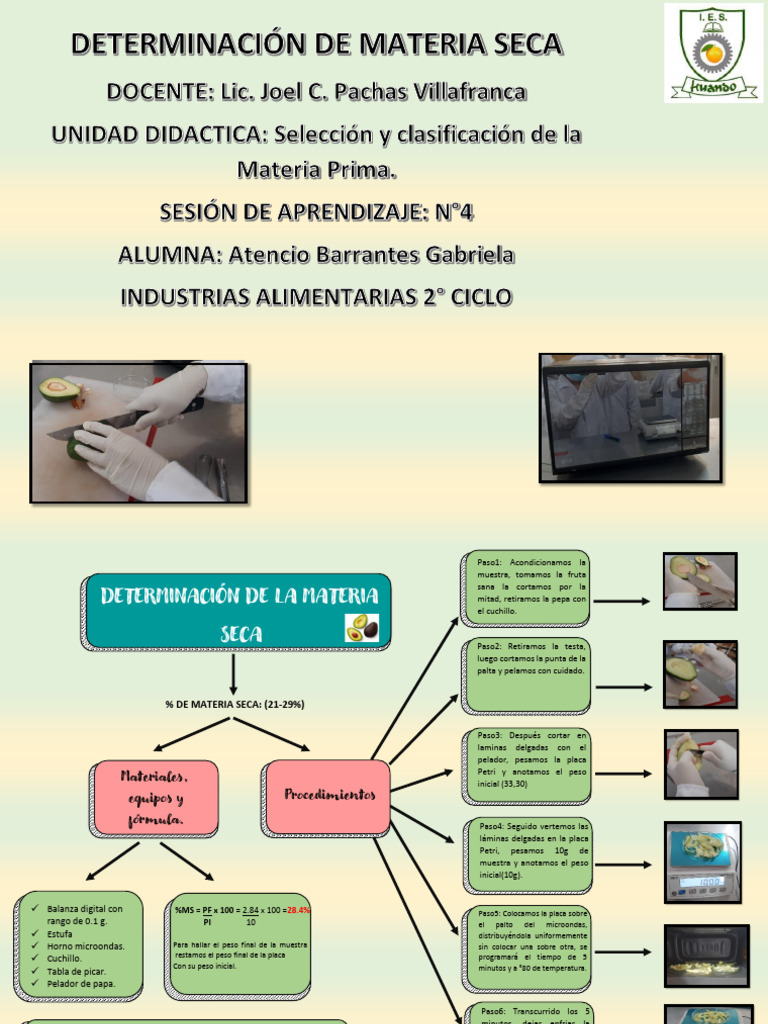 Determinacion de Materia Seca 2021 | PDF