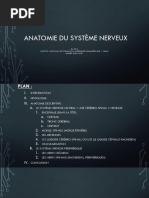 Anatomie de la Moelle Spinale | PDF | Moelle épinière | Nerf