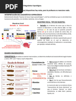 Examen fisicoquímico de heces fecales | PDF | Heces | Diarrea