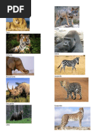 Nombres de 20 Animales Silvestres | PDF