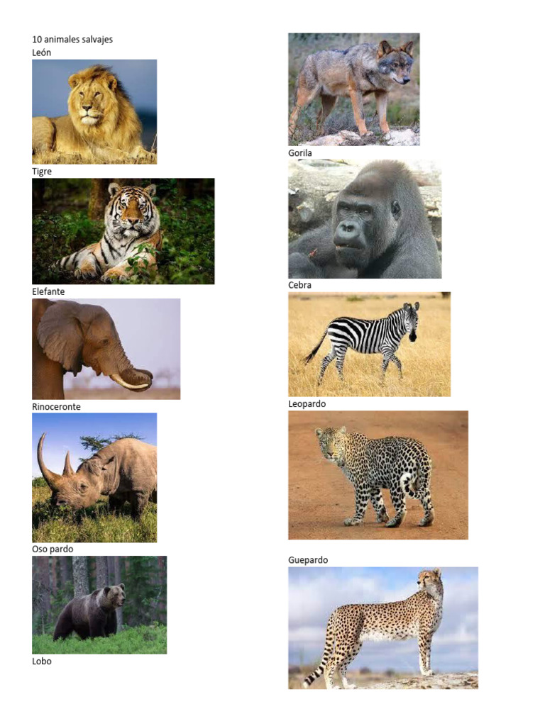 10 Animales Salvajes | PDF